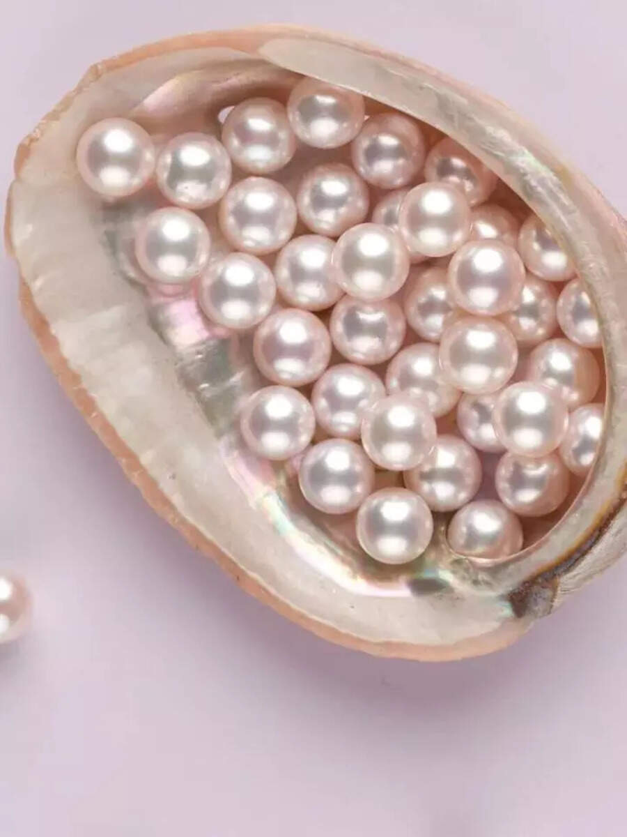 Hyderabad Known as Pearl City of India | Times Now Navbharat
