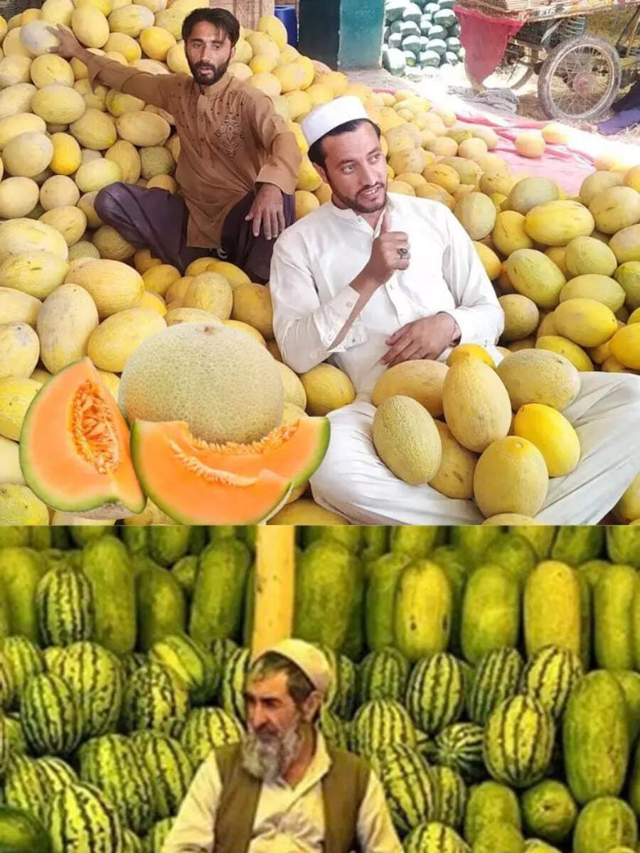 1 Kg Watermelon Price In Pakistan, Watermelon Price In Karachi ...