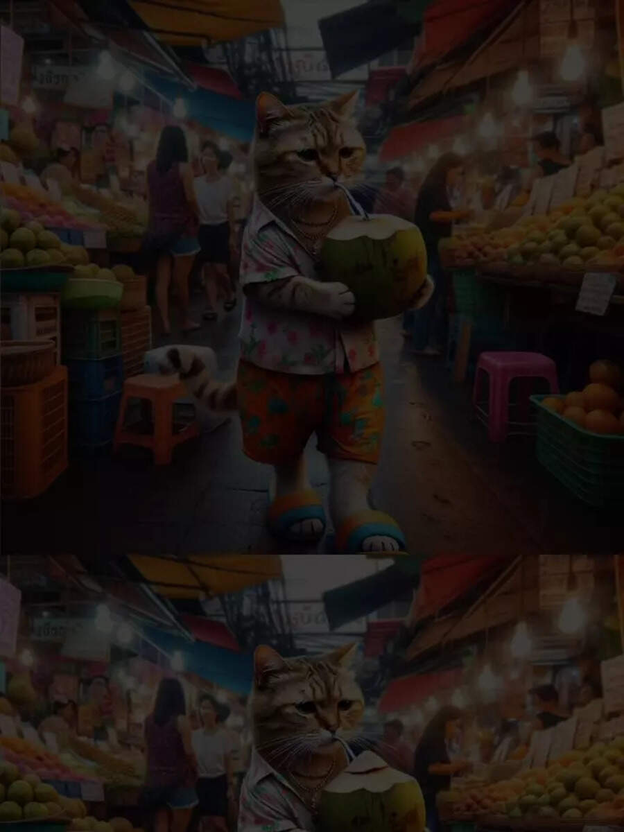 Find The Difference Puzzle Spot 5 Differences In 60 Seconds Times Now