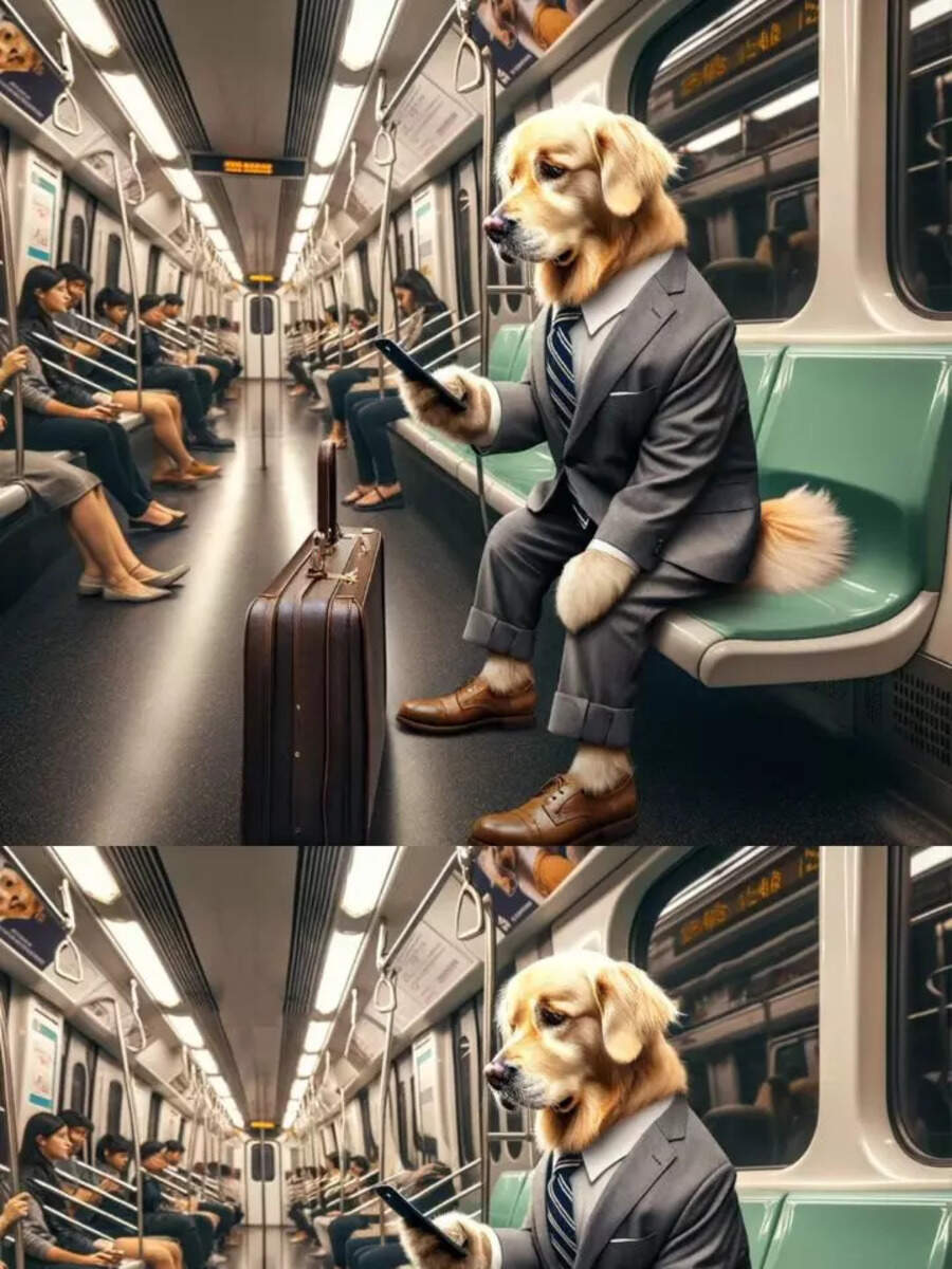 2 Images, 5 Differences, 60 Seconds: A Test of Your Observation Skills ...