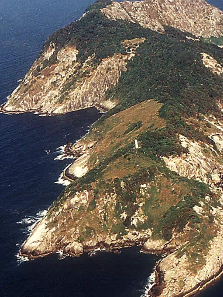 Snake Island, Yes There is One - 5 Facts About the Forbidden Isle ...