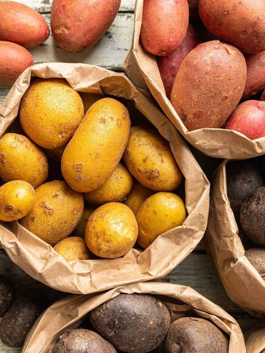 Potato Lovers Know Of These 10 Varieties From AcrossIndia | Times Now