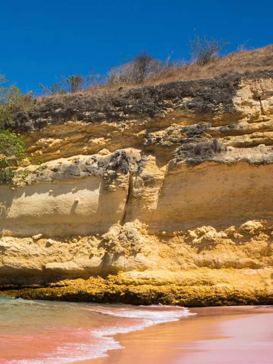 Top 10 Unusually Coloured Beaches From Around The World | Times Now