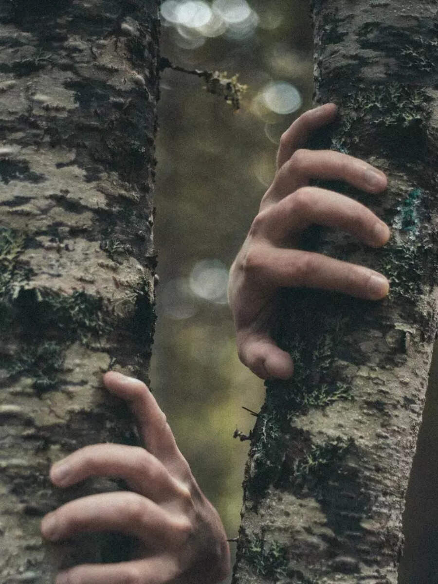 7 Movies Where Plants Are Out To KILL You | Times Now