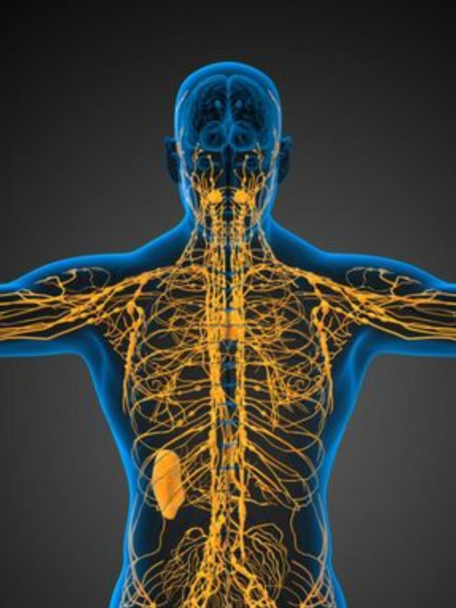 Your Body's Weak Spot According To Your Zodiac Sign | Times Now