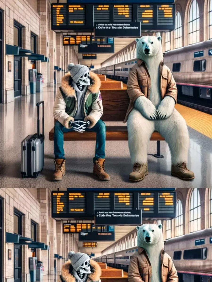 Try and Spot 4 Differences If You Have Good Observation Skills | Times Now