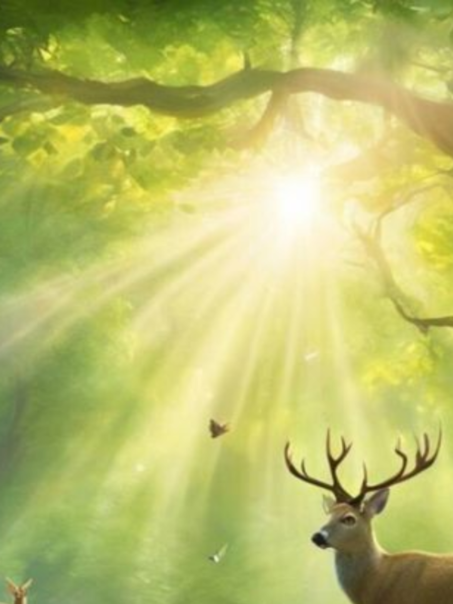 9 Animals And Thier Divine Association With Gods | Times Now
