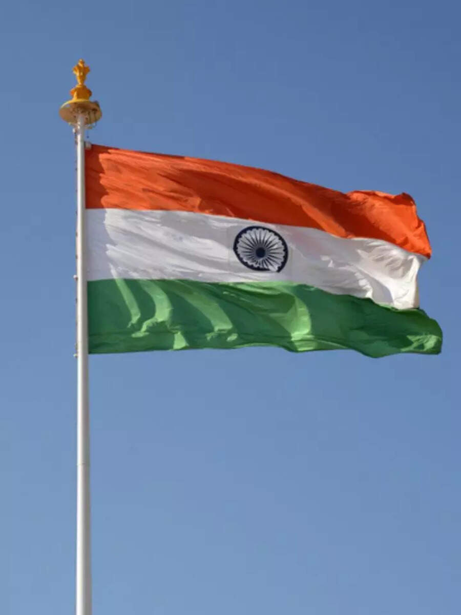 Independence Day Essentials: Must-Have Decorating Items | Times ...