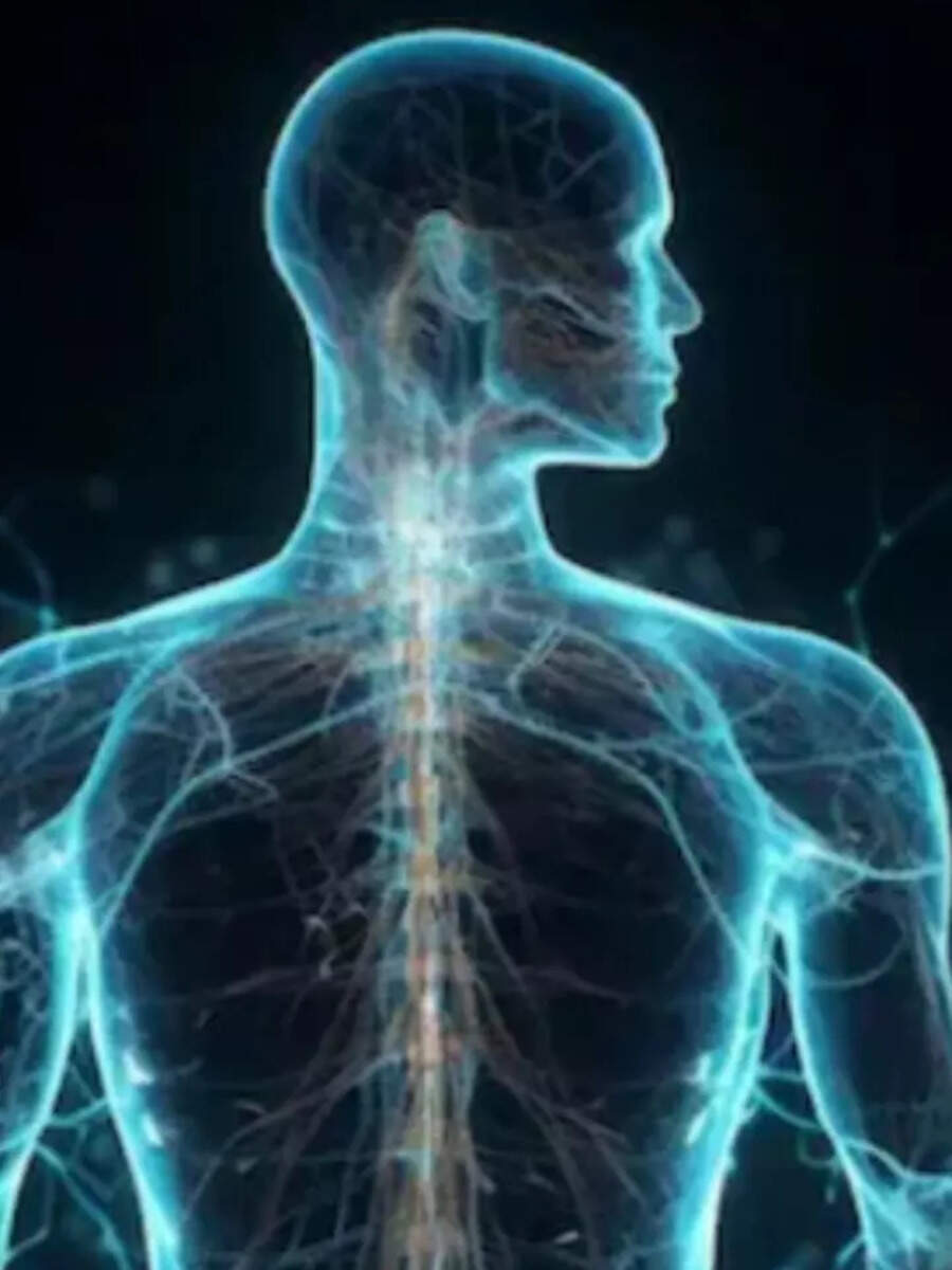 How much oxygen human body consume in 60 minutes do you know | Times ...