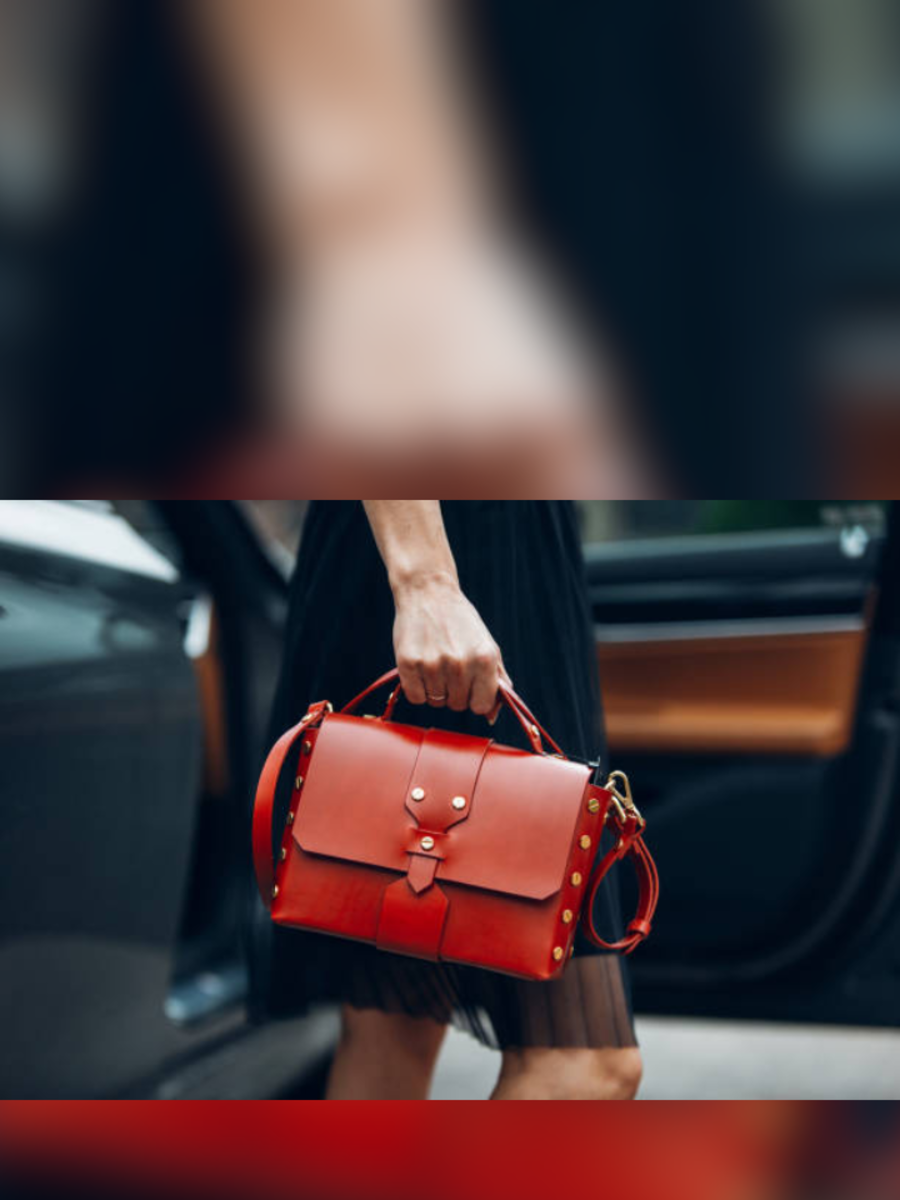 World’s Most Expensive Purse: $3.8 Mn Bag – Which Luxury Brand Is ...