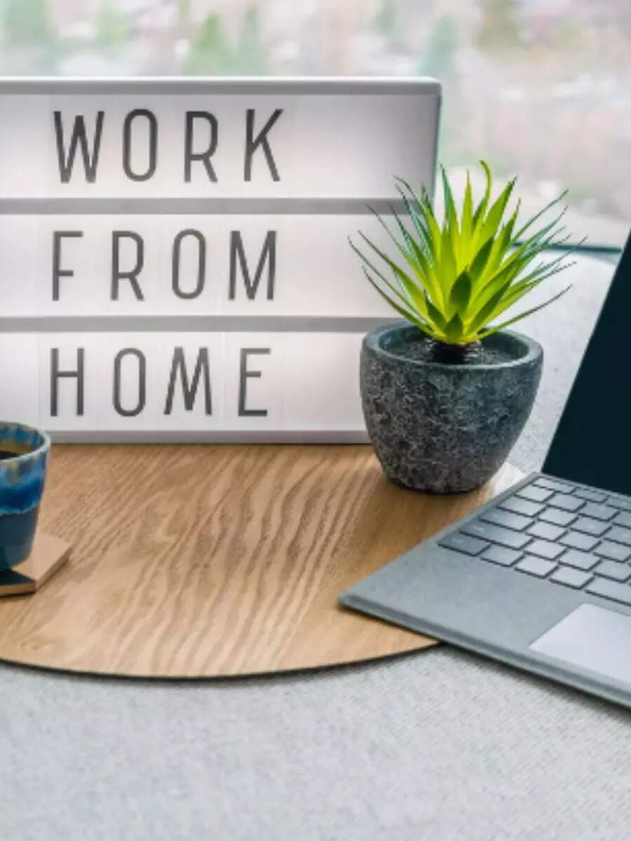 WFH Forever! 10 High Paying Freelance Careers | ET Now