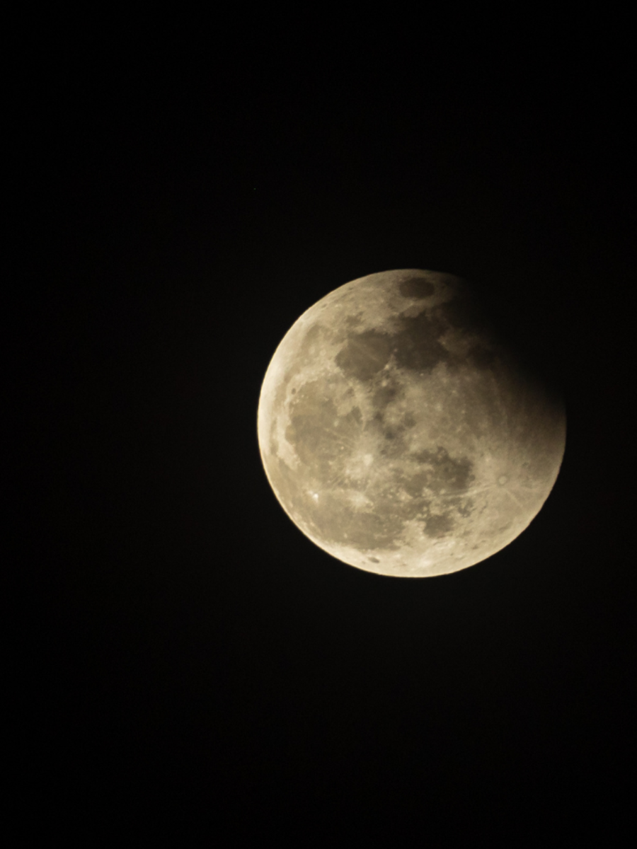 Lunar Eclipse 2024- Date, Time, Location - All Details | Times Now