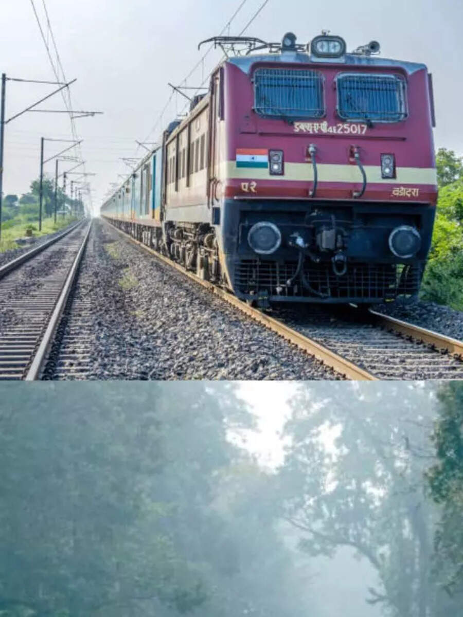 Train Chain Pulling Rules | Times Now Navbharat