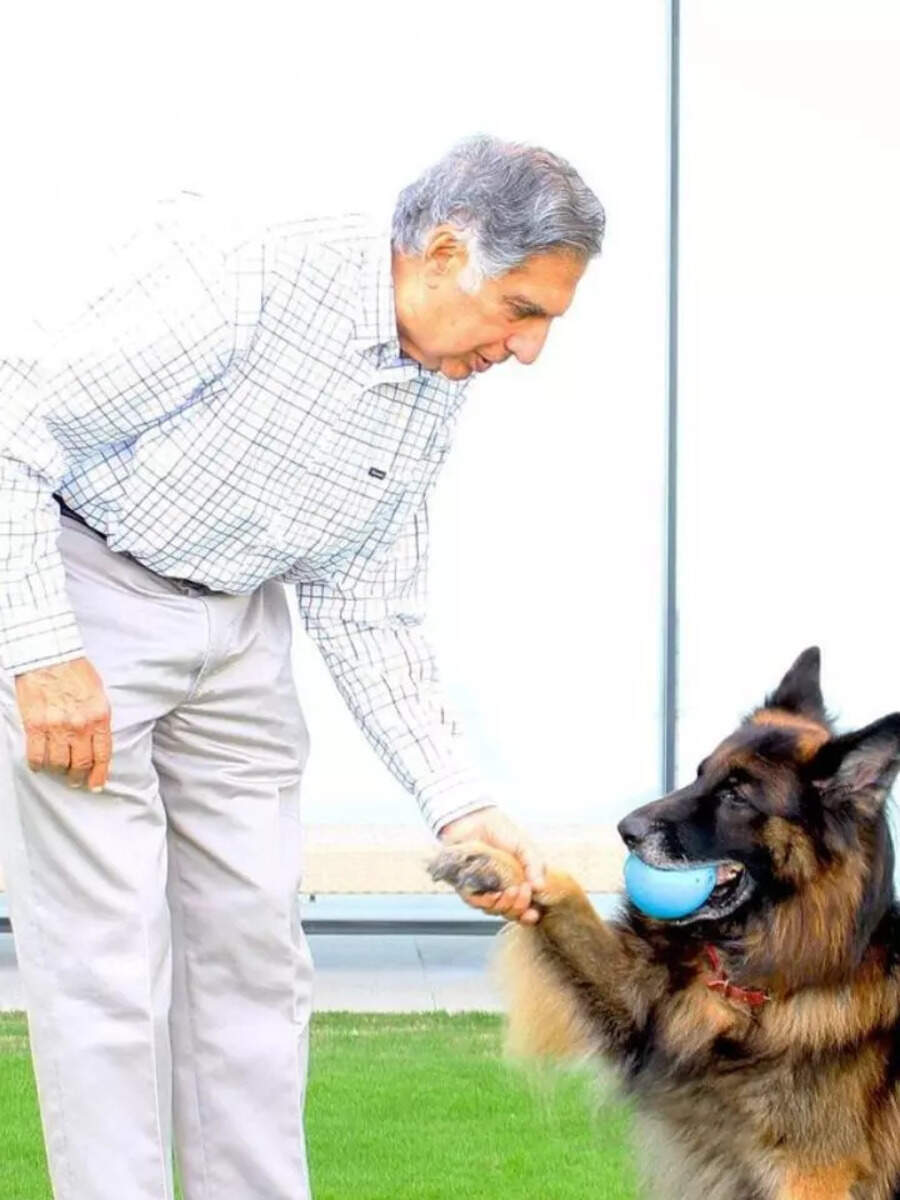 Ratan Tata, The Man Who Loved Dogs: Photos | ET Now