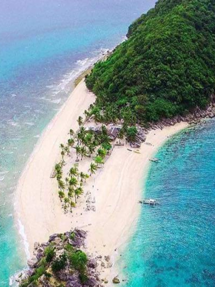 Most To Least Likely Useful Signs On A Deserted Island | Times Now
