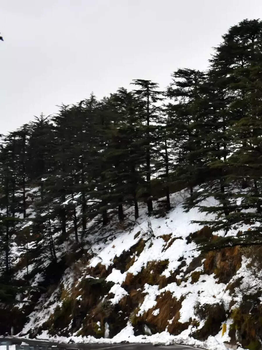 9 Hidden Gems In Uttarakhand Where You Can See Snow This Winter | Times Now