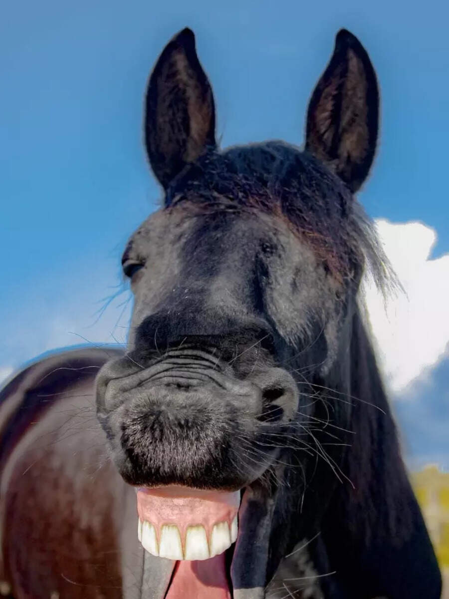 What comes once in a year, twice in a week, but never in a day? 5 ...