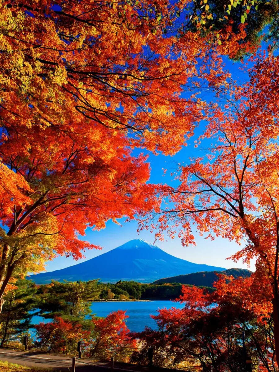 Morning Motivation: 5 Powerful Quotes to Fire You Up for the Day ...