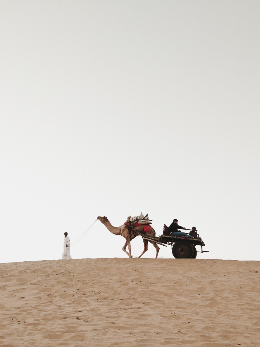 10 Places In Rajasthan You Should Bookmark For 2025 | Times Now