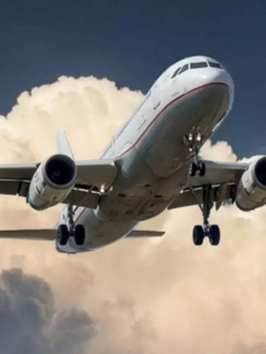 Czech National Booked In Goa For Possessing Banned GPS Device, Probe On ...