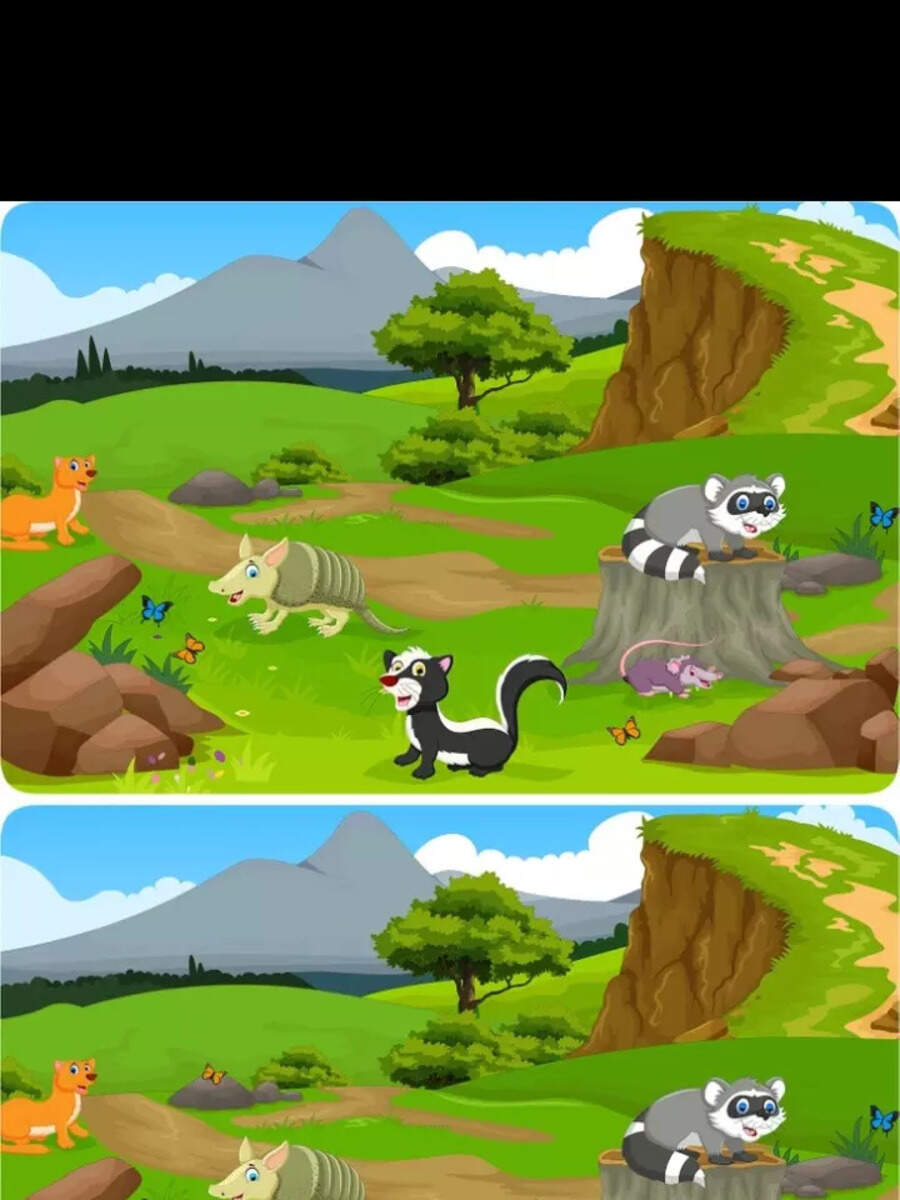 Spot the 3 Differences: Fun 30-Second Puzzle for Kids | Times Now