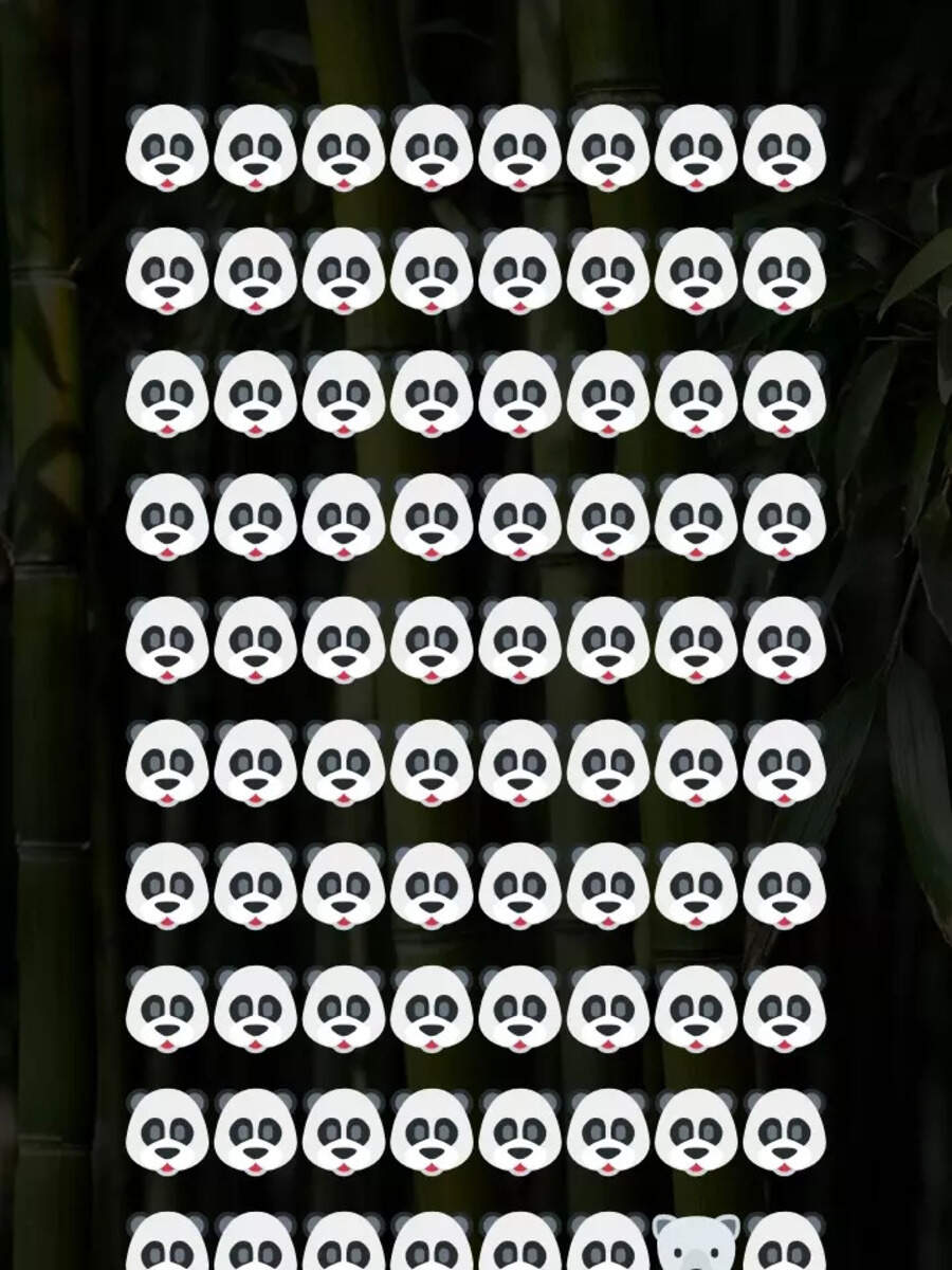 Find the Polar Bear in This Embarrassment of Pandas | Times Now
