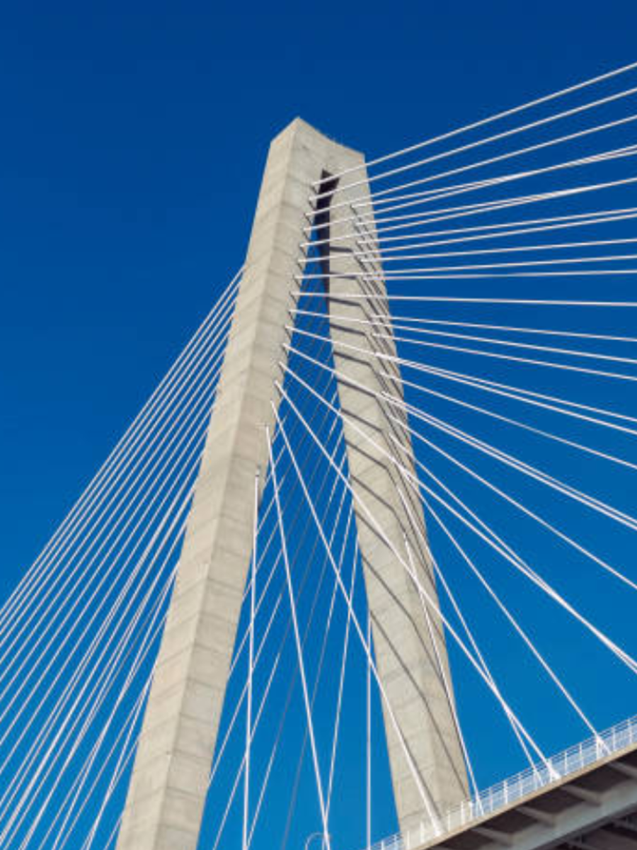 All About Mumbai’s First Cable-Stayed Bridge | Times Now