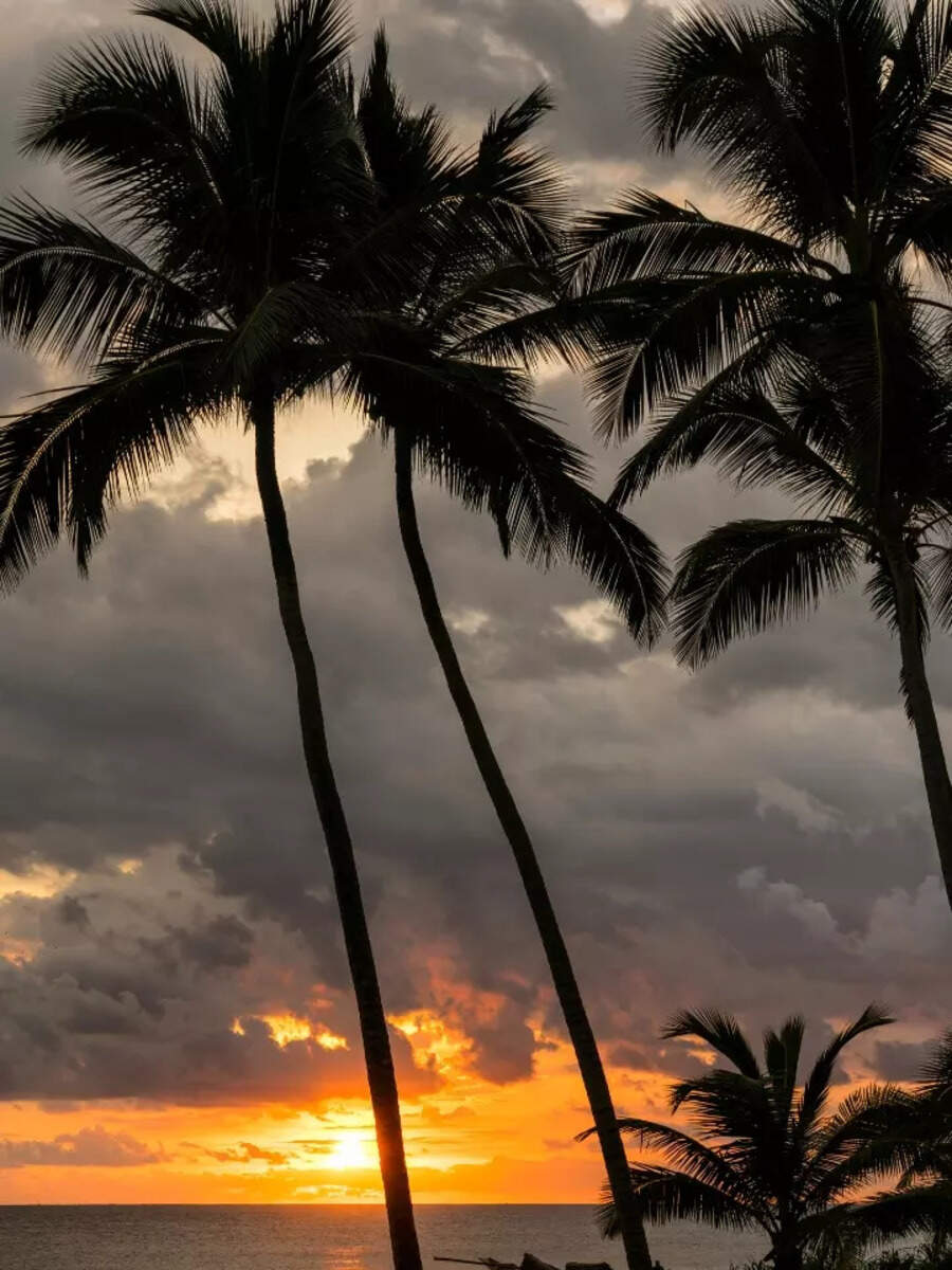 Million vs Billion: 5 Comparisons to Fathom the Colossal Difference ...