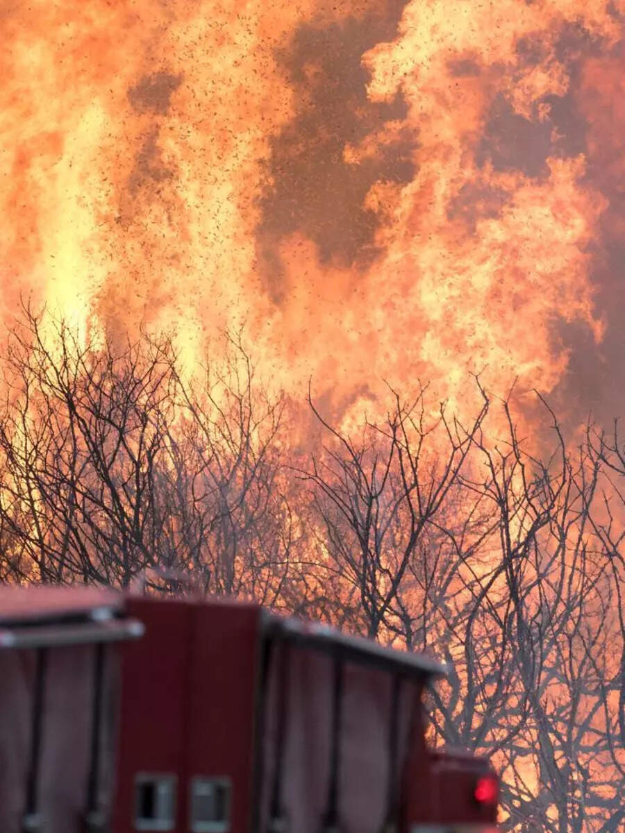 Los Angeles Wildfire: 10 Places That Are Very Prone To Wildfires ...