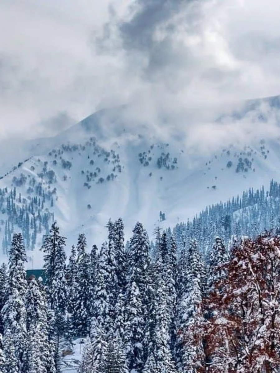 Top Places To Experience Snowfall In Uttarakhand | Zoom TV