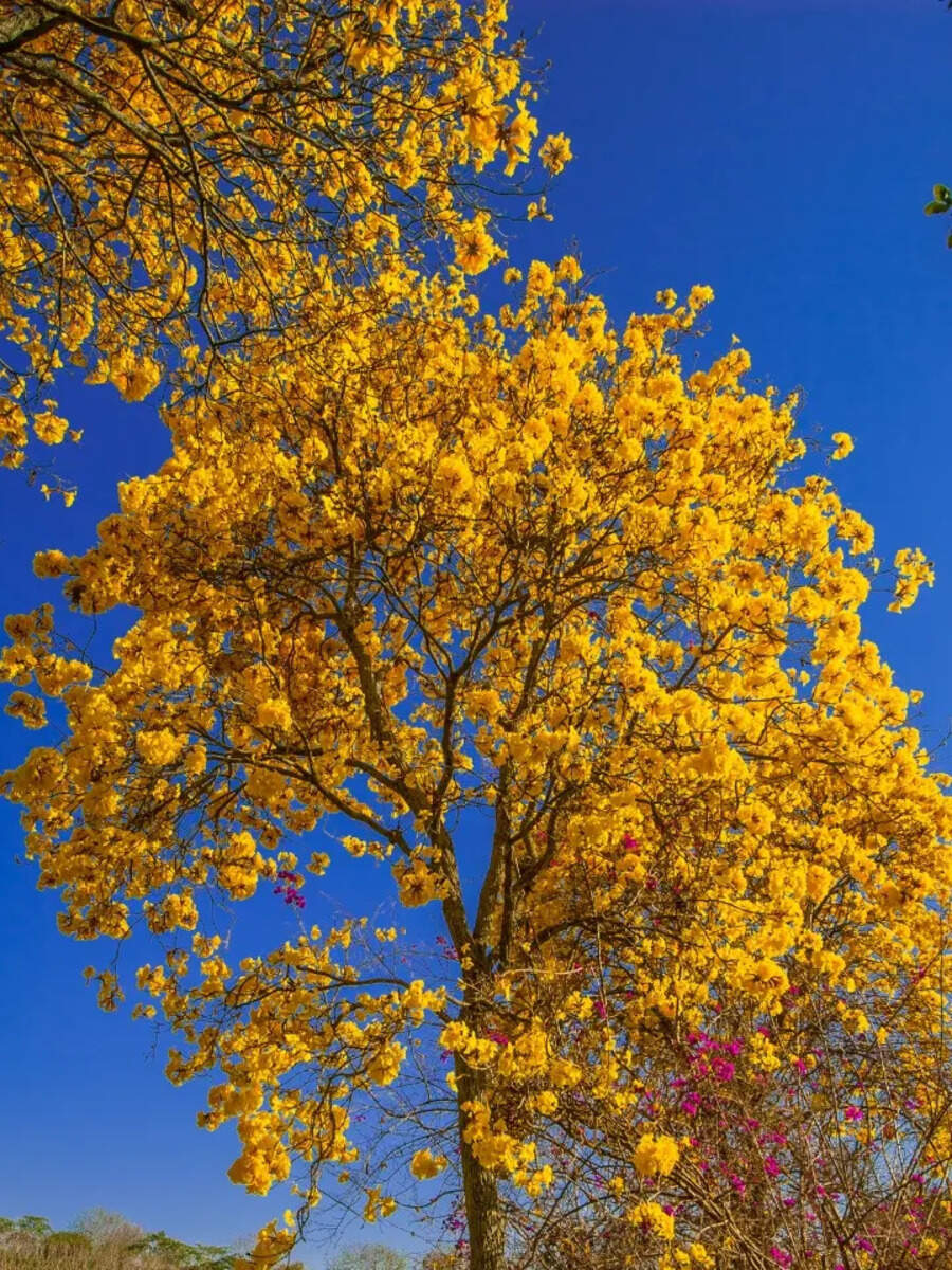 5 Rousing Quotes to Experience a Rush of Motivation Like Never Before ...