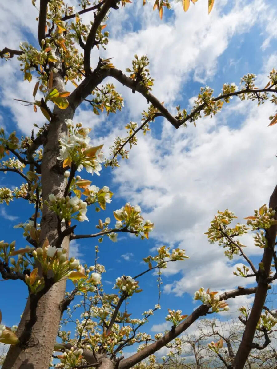 Weekend Wisdom: 5 Famous Quotes to Breeze Through Monday Blues | Times Now