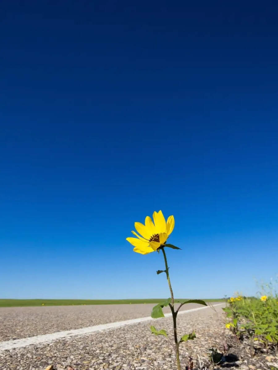 Mid-Week Motivation 5 Quotes to Put Top-Tier Success Within Reach ...