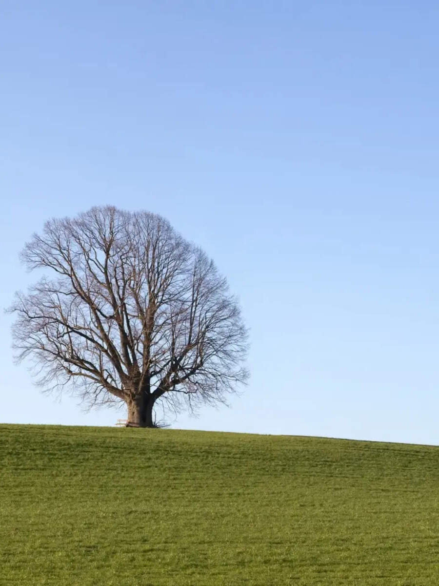 Morning Motivation: 5 Beautiful Quotes to Retrace Your Winning Steps ...