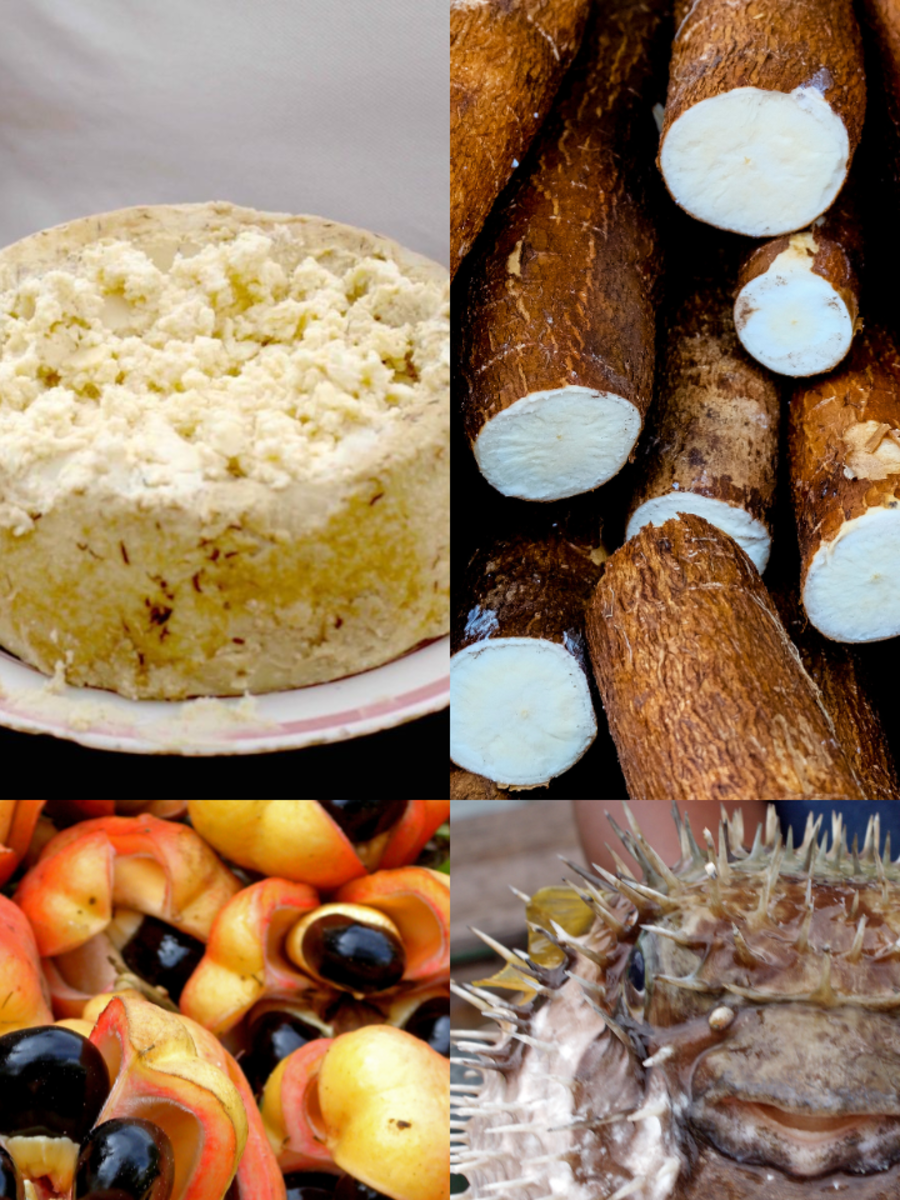 Beware! These 8 Dangerous Foods In The World Can Kill You | Times Now