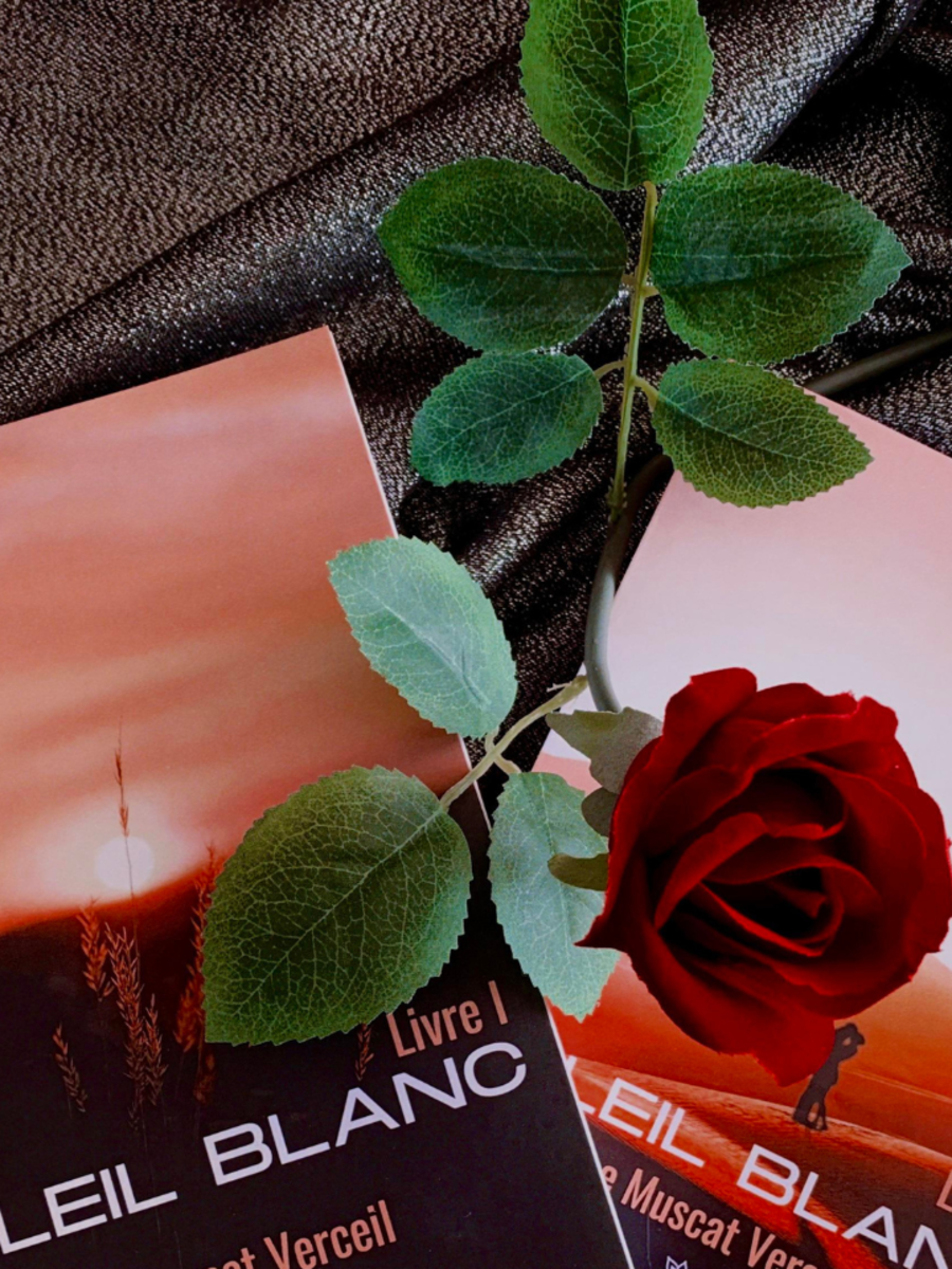 13 Best Romance Book Series That Will Give You Butterflies Every Day ...