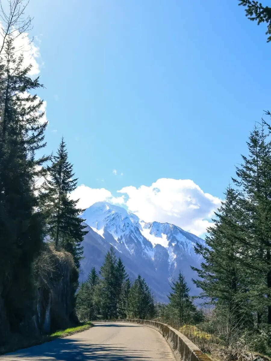 Mid-Week Motivation: 5 Quotes to Inspire Your Powerful Comeback | Times Now