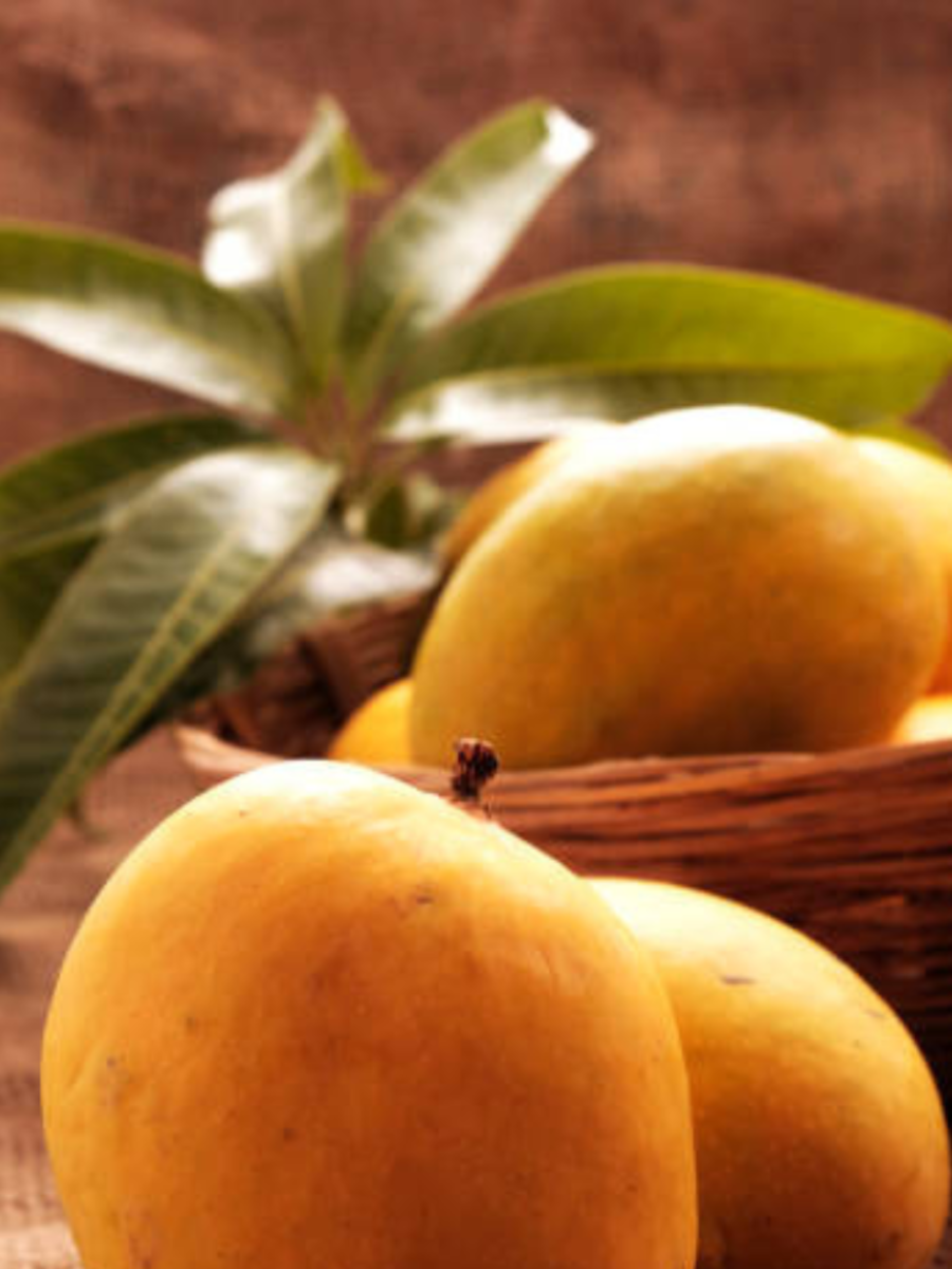 10 Ripe Mango Recipes For Summer To Enjoy The King Of Fruits | Times Now