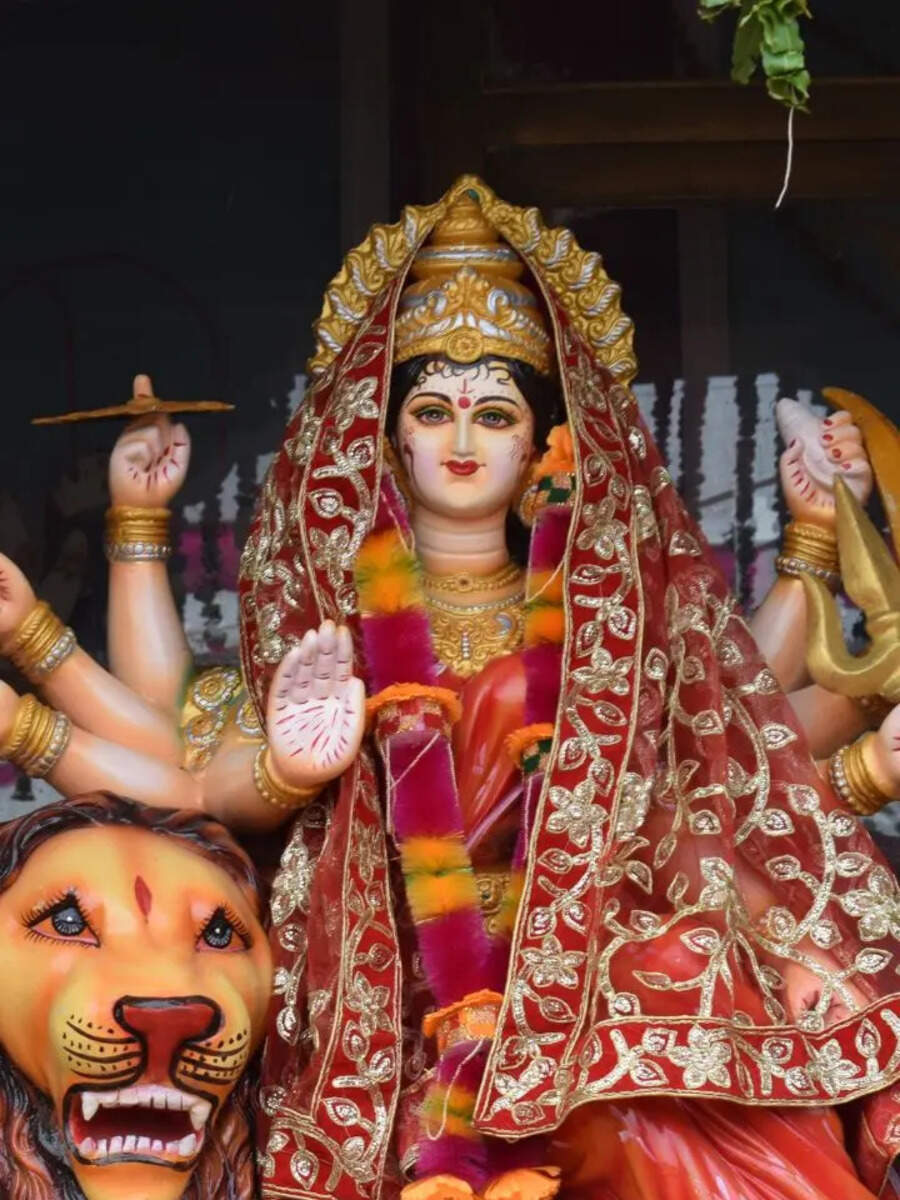 Navratri 2025: Flowers Which Are Traditionally Offered To Maa Durga ...