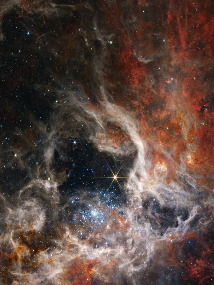 6 Most Beautiful Pictures Of Stars Captured By NASA James Webb ...