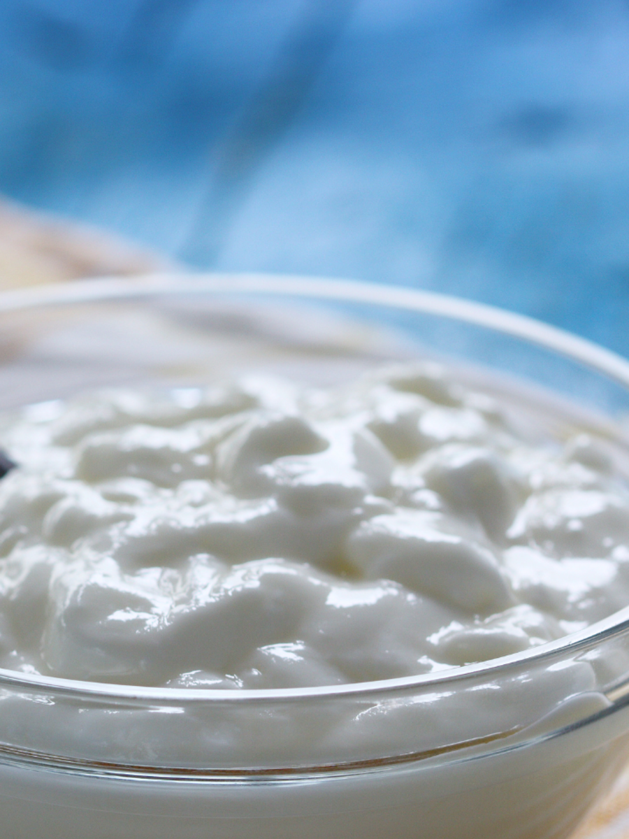 10 Must-Try Curd Dishes to Keep You Cool This Summer | Times Now