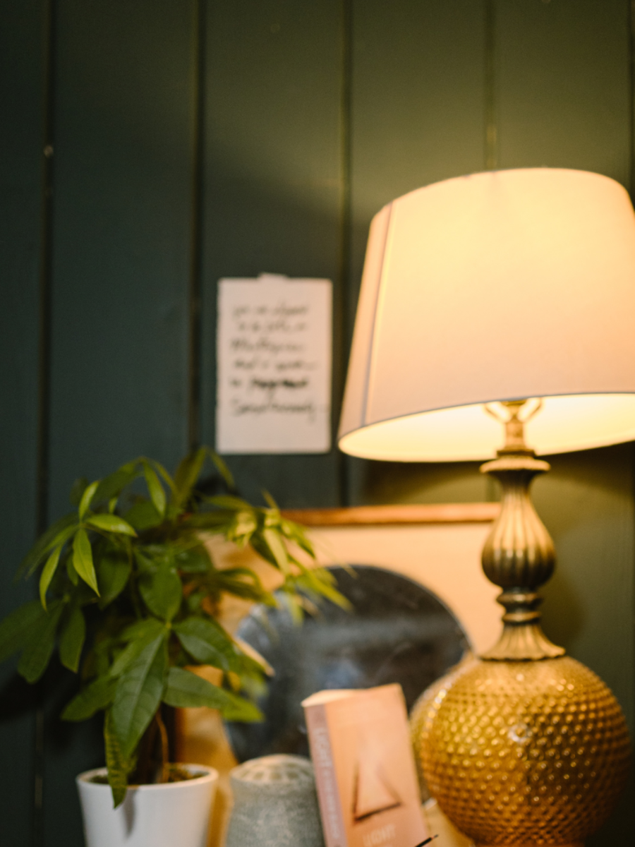 Bedside Plants That Bring Positivity and Improve Sleep | Times Now