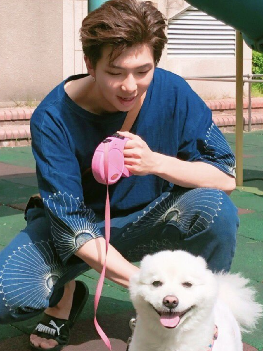 All 7 BTS Members And Their Adorable Pet Companions | Times Now