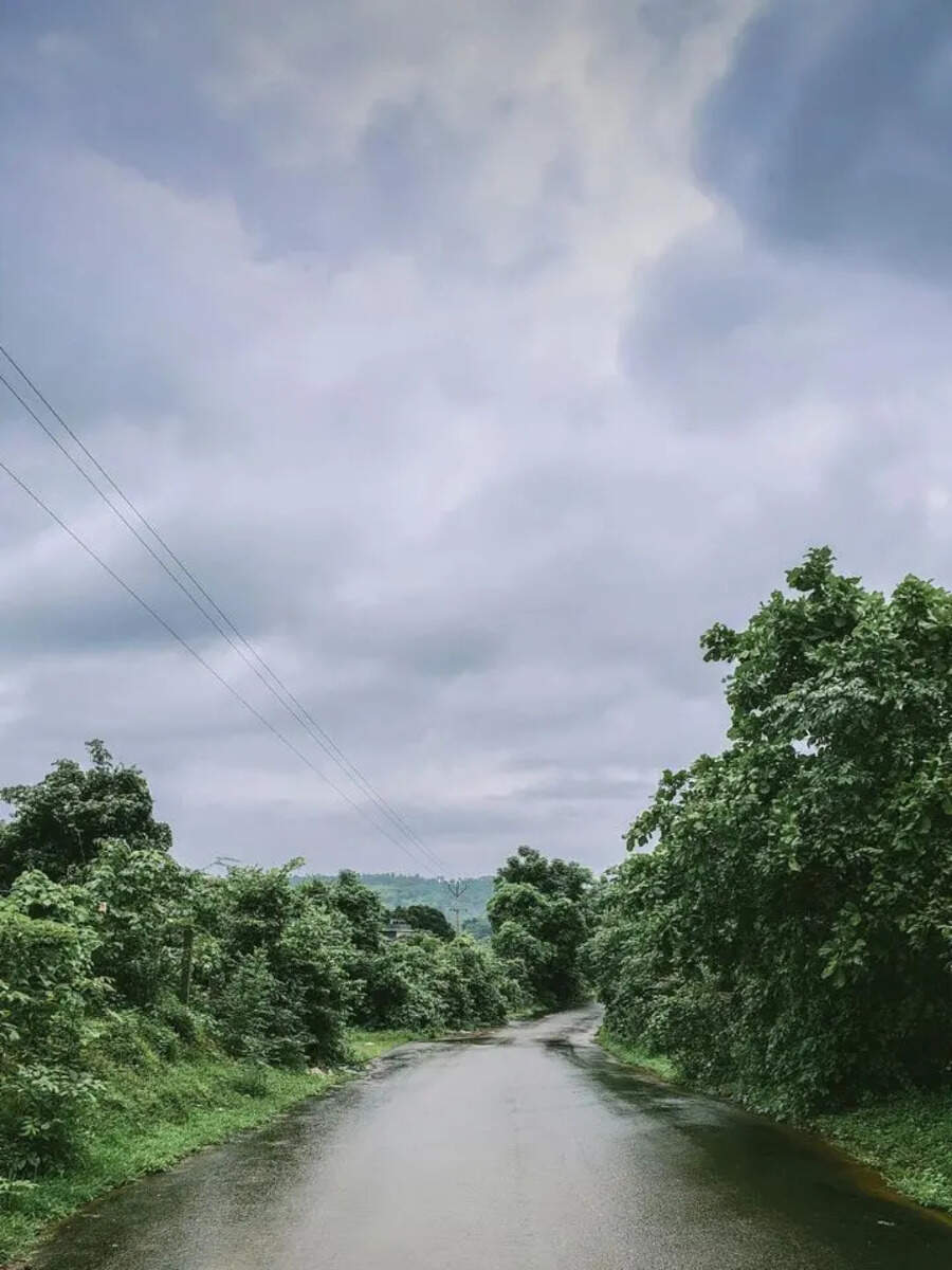 Monsoon In Goa: Top 10 Places & Things To Do For An Unforgettable Trip ...