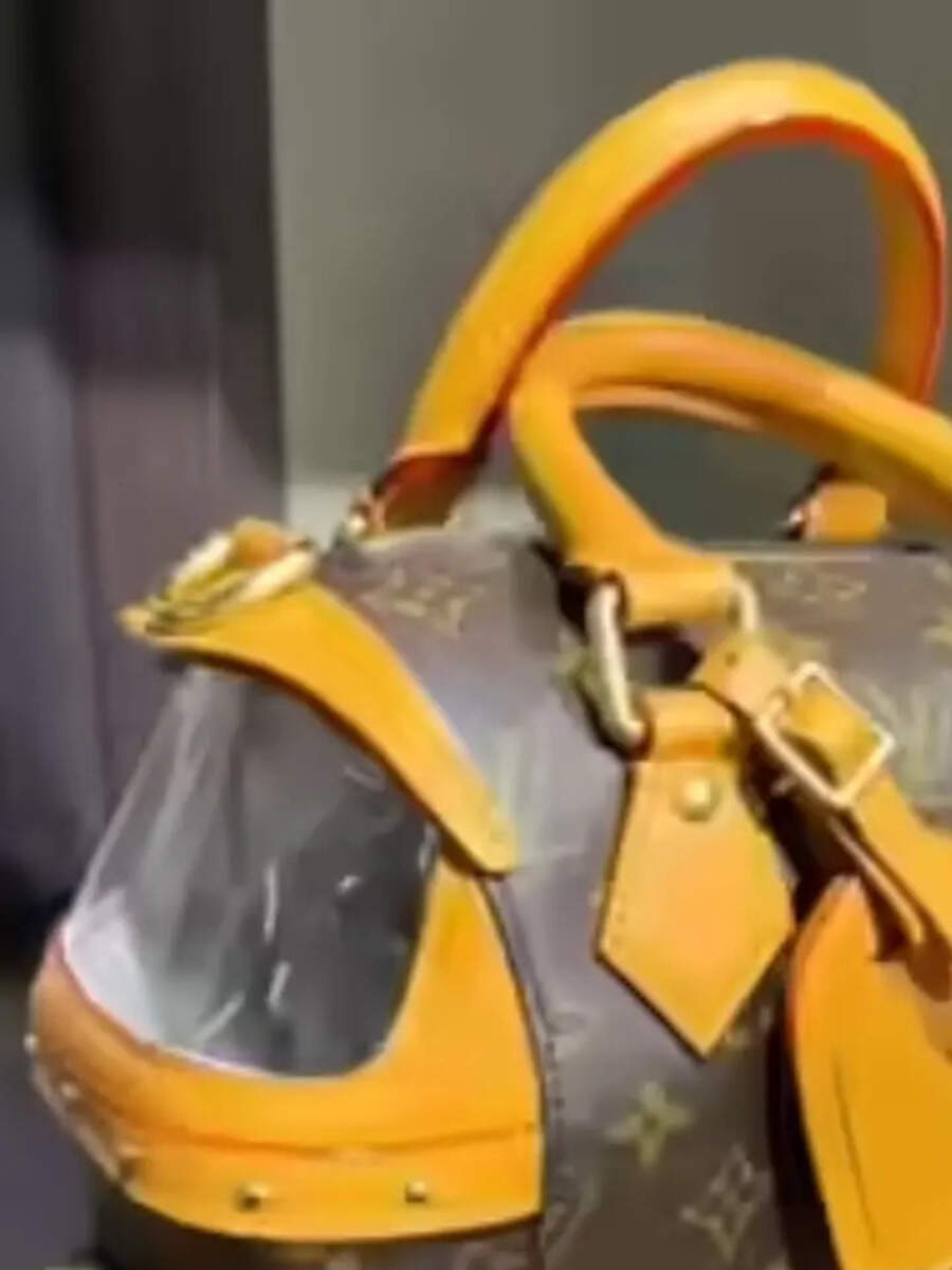 क्लच, टोट का गया जमाना, हाथ में थामें अब Auto Rickshaw बैग,जानें कितनी ...