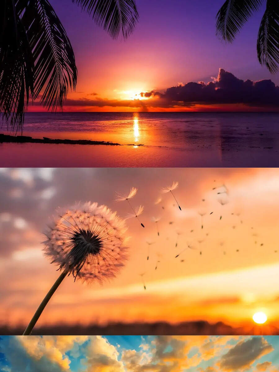 2025 ka akhiri SOORAJ: New Year 2026 Where does the last sunset occur ...