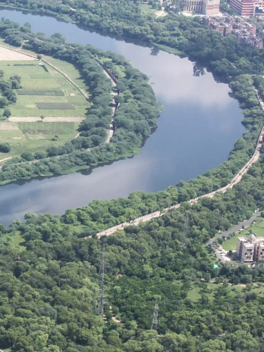 Sahibi River delhi Apart from Yamuna one more river flows in Delhi ...