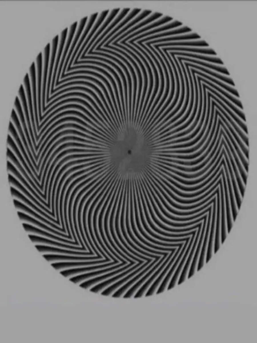 The numbers written in the picture are so dazzling that they are hard ...