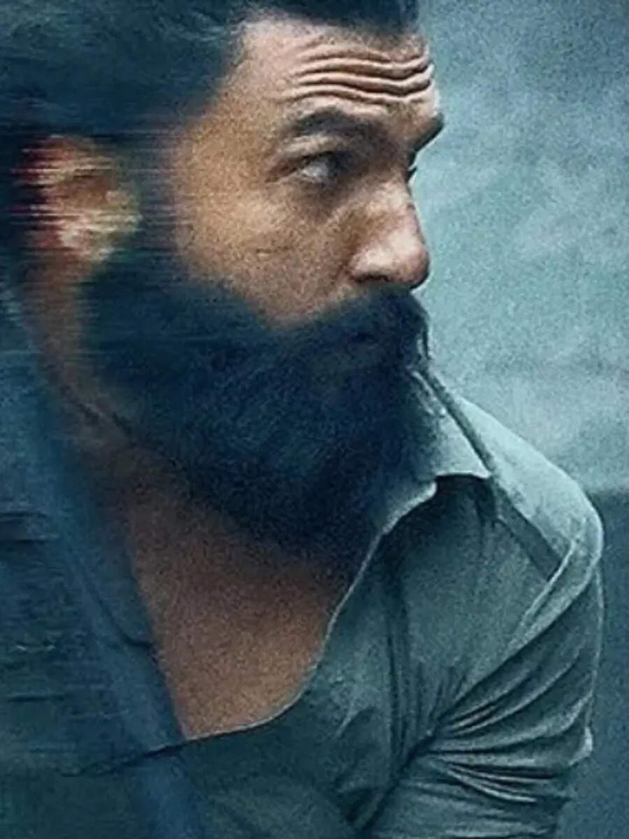 9 Indian Films Faced Challenges In Pakistan: Dhurandhar To The Dirty ...