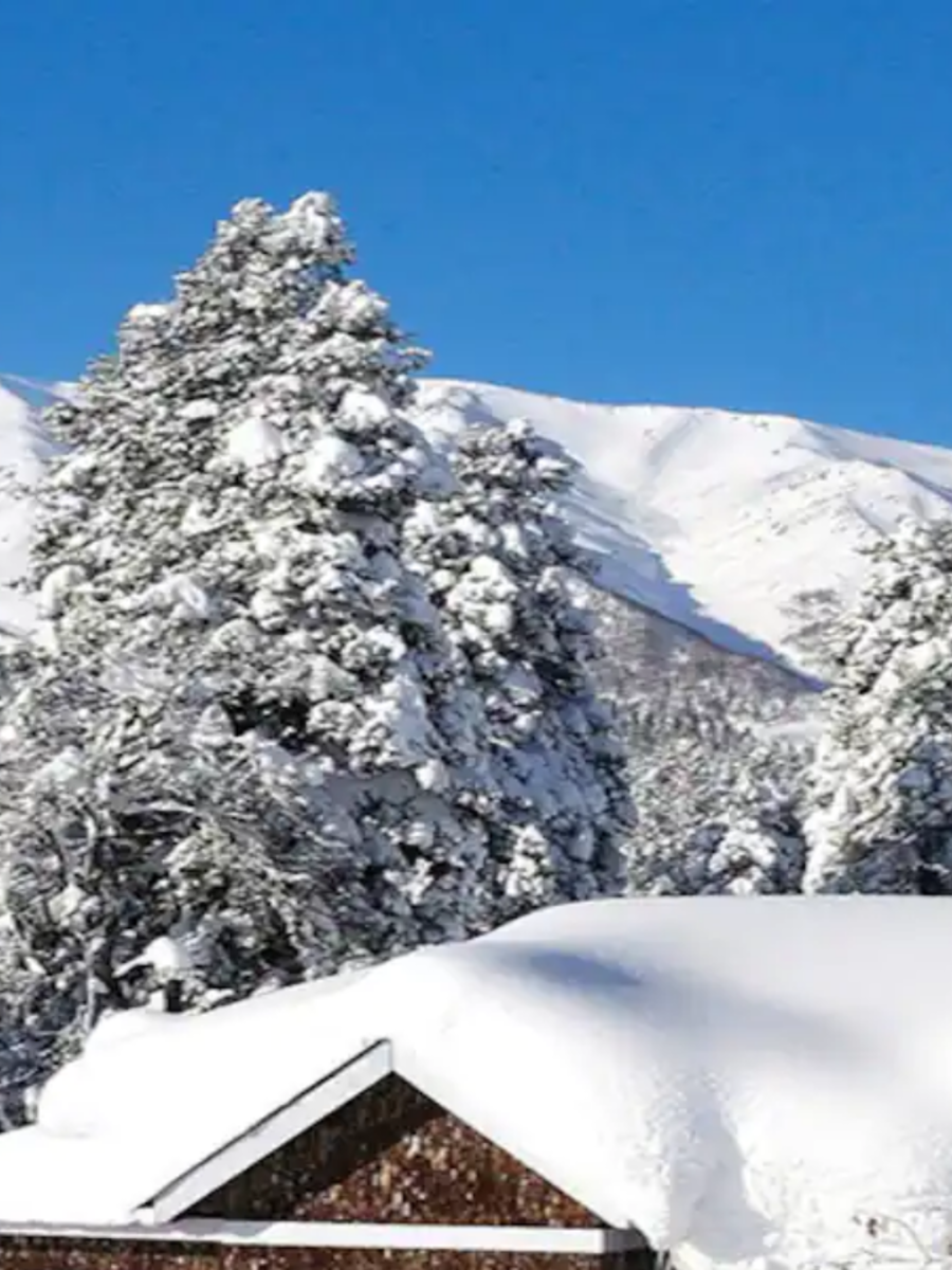 Places in India that turn into winter wonderlands | Times Now